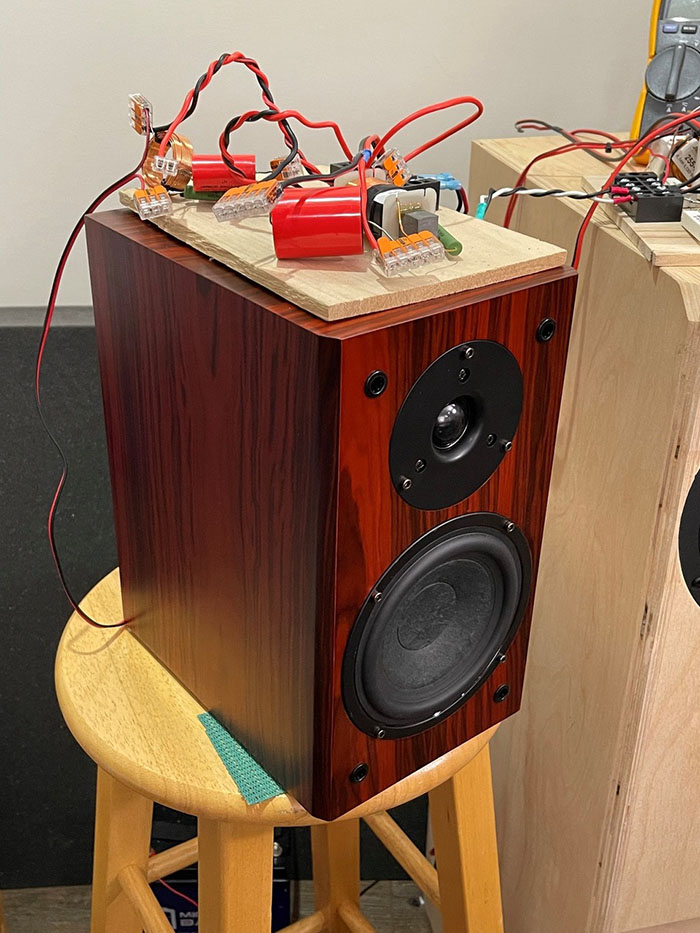 Vanguard Scout monitors – “the $299/pr Miracle Mini Monitor” by Greg Voth